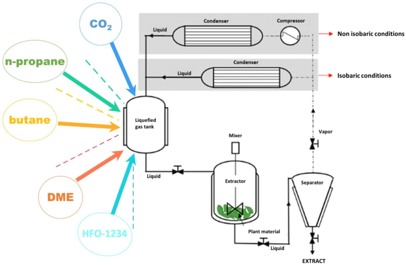 Terpenes Extract: How Are Terpenes Extracted and Made from Plants?