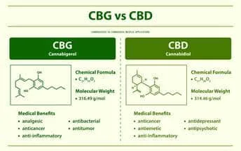 CBG vs CBD: Key Differences, Benefits, & Uses Explained