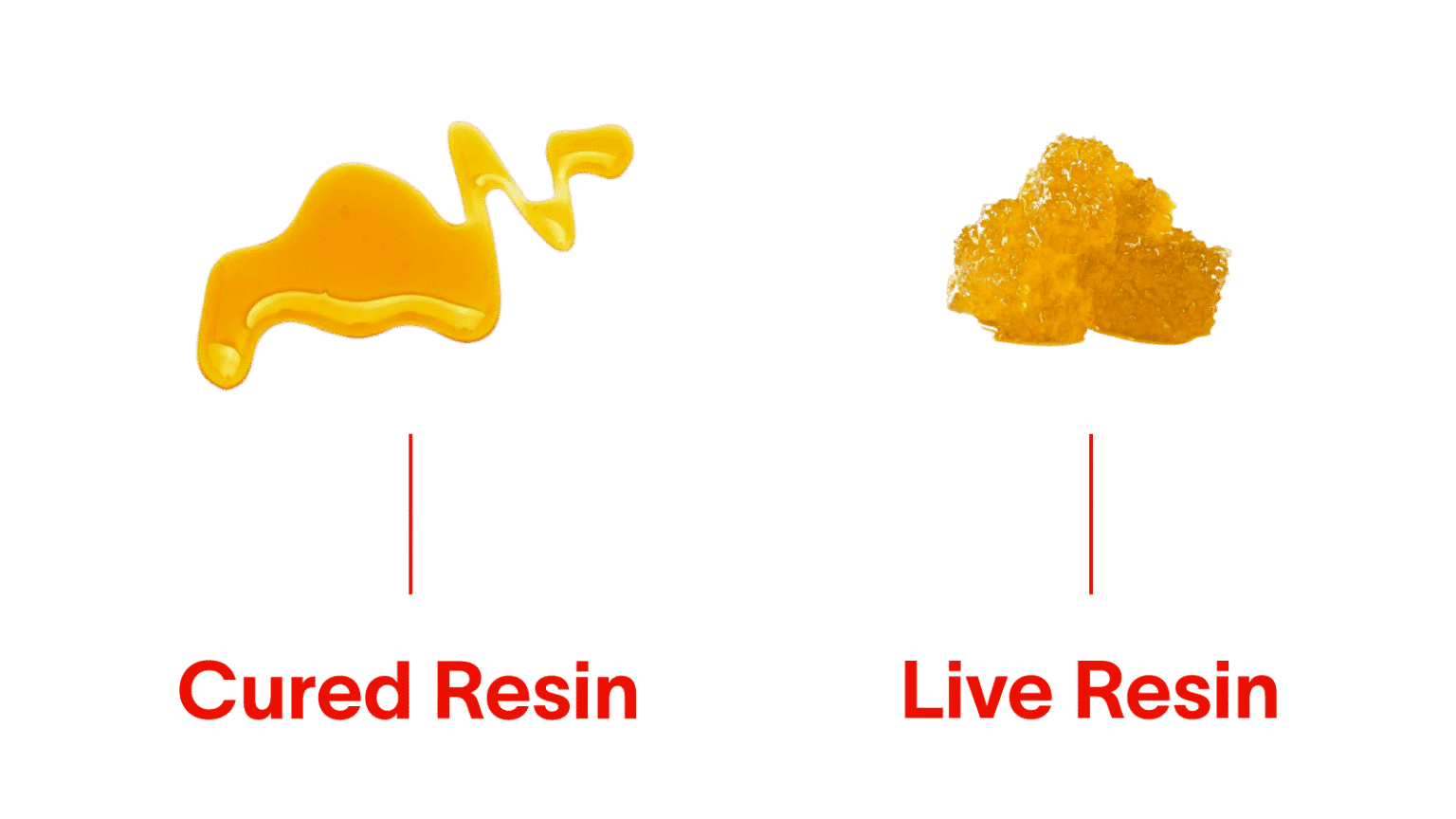 Live Resin vs. Cured Resin: Which One Should You Choose?