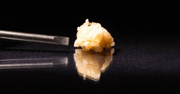 BHO Extraction 101: Process, Methods & Safety Guidelines