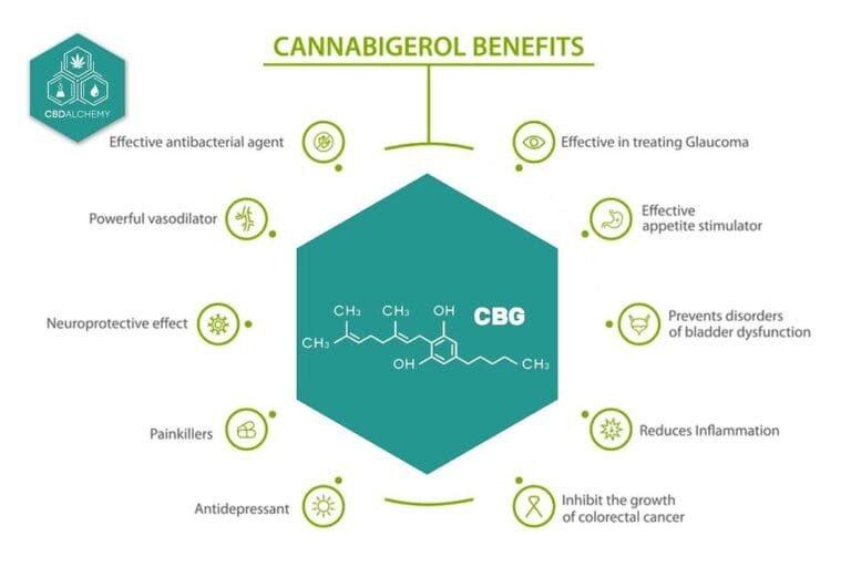 CBG Benefits, Uses & Extraction Explained: Your Complete Guide