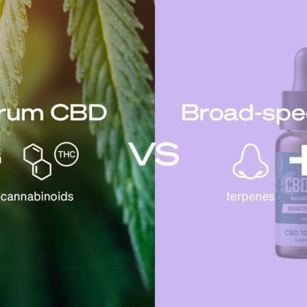 Full Spectrum Cannabis Extract: What It Is & Benefits Explained