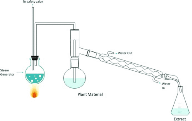 Steam-Distilled Terpenes Guide - Cannabis & Hemp Extraction | Root Sciences
